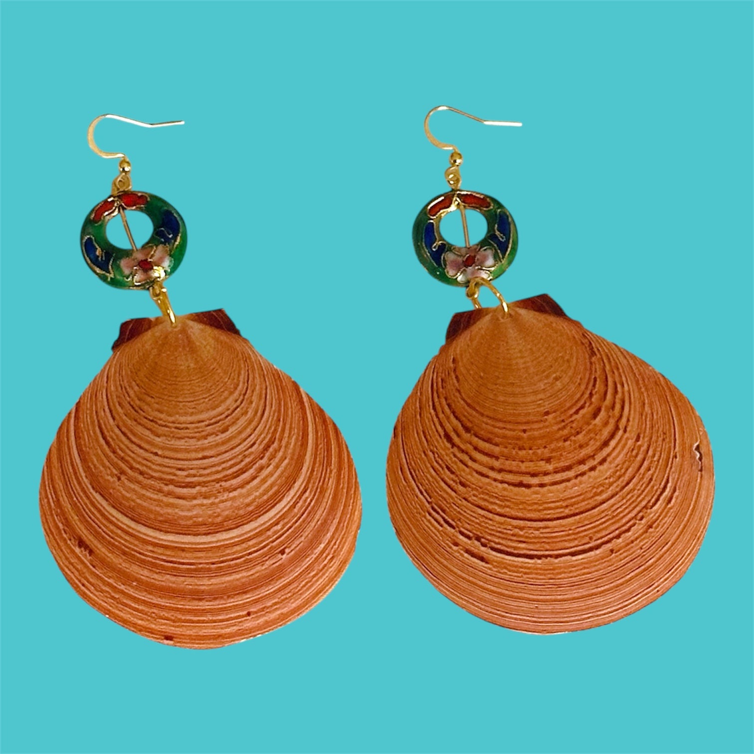 The Sun Shells – SAYRAN